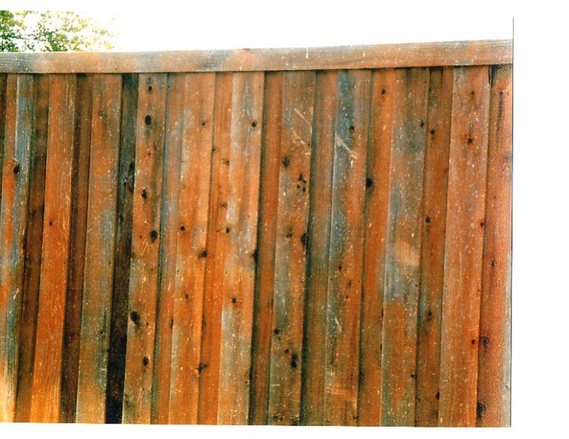 Fence Staining Before and After | Plano McKinney Frisco