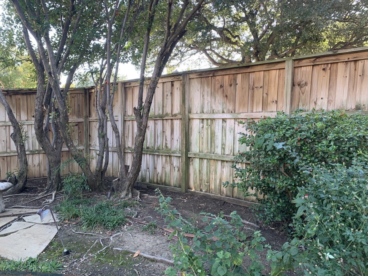 Fence Staining FAQs - From the experts at Fence Makeovers