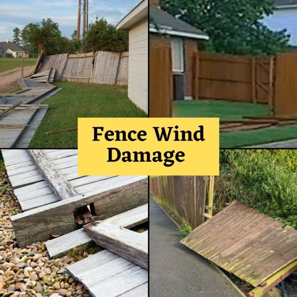 How Much Wind Can A Wood Fence Withstand Today?