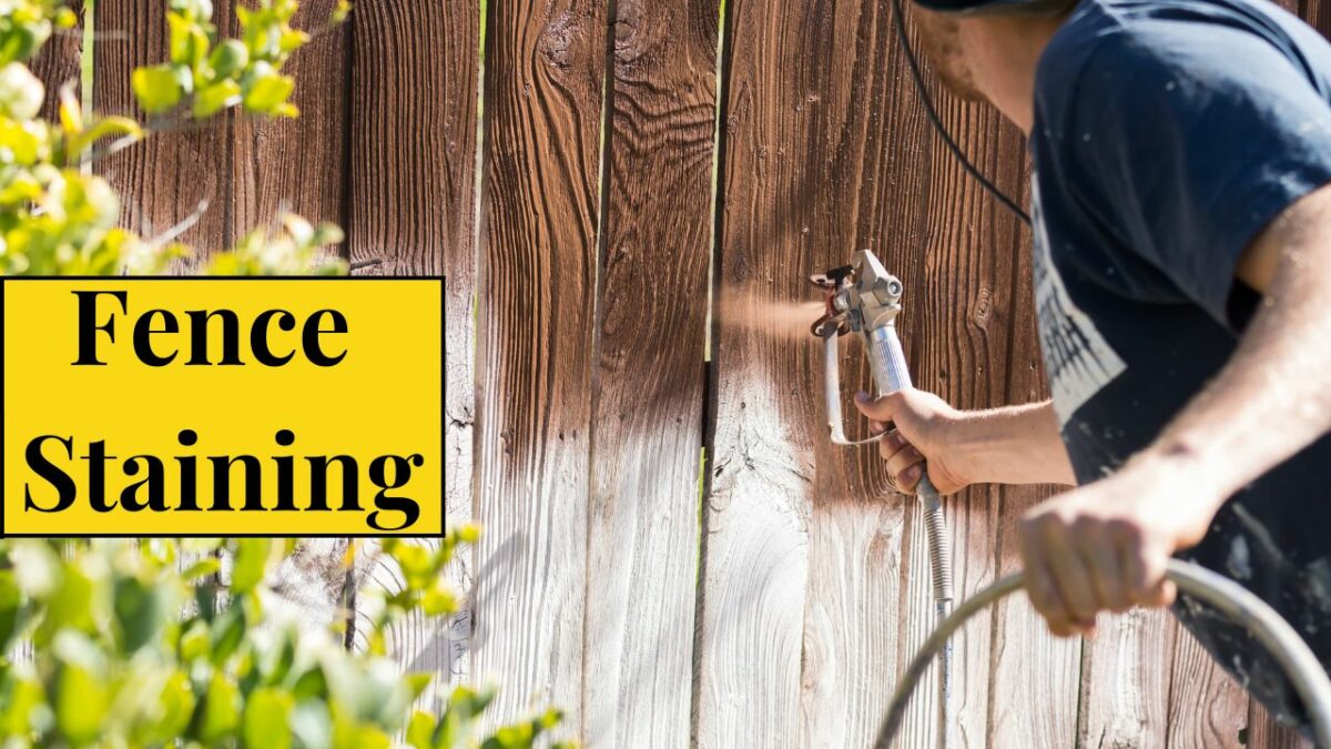 Plano Fence Staining • Fence Repair • Fence Sealing