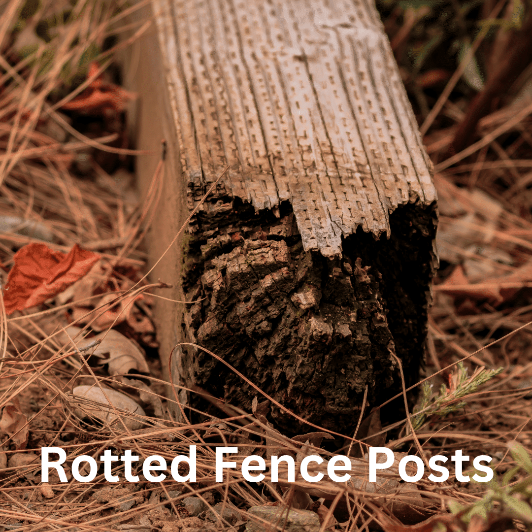 Rain on Wood Fences • Fence Makeovers 2026